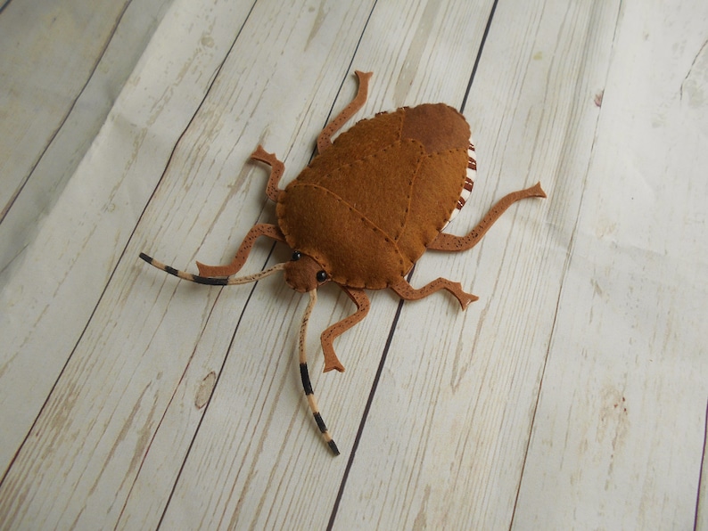 Felted Stinkbug Toy Realistic Beetle Felted Toy Young Naturalist Gift ...