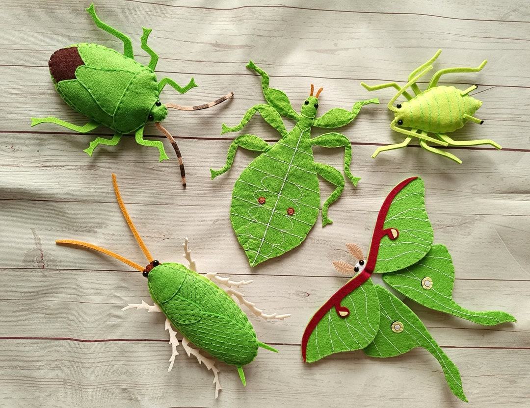 Green Insects Collection for Entomologist Original Bug Collection ...