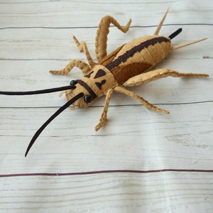 Realistic Hawaiian Cricket From Felt Laupala Cricket Figurine Felted ...