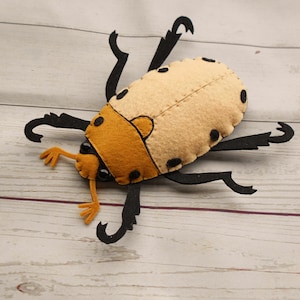 Realistic Grapevine Beetle From Felt Felted Pelidnota Punctata Beige ...