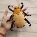 Realistic Grapevine Beetle From Felt Felted Pelidnota Punctata Beige ...