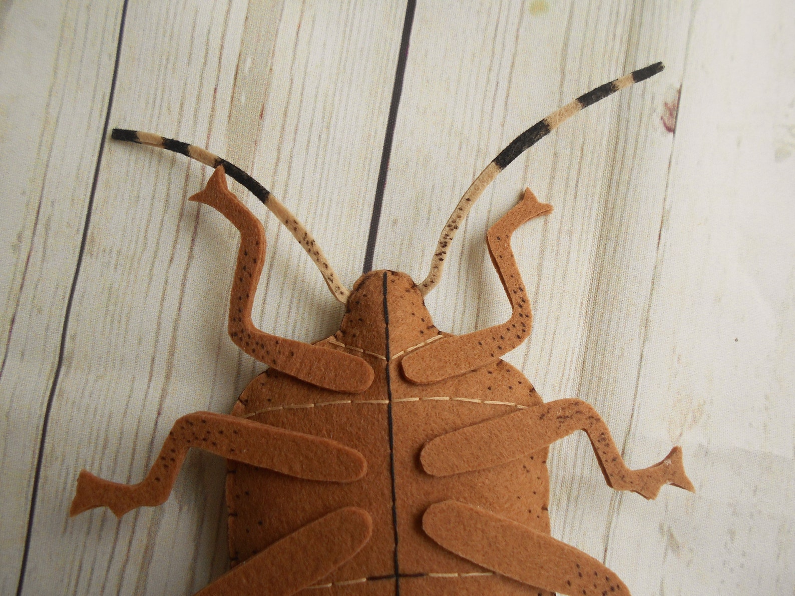 Felted Stinkbug Toy Realistic Beetle Felted Toy Young Naturalist Gift ...