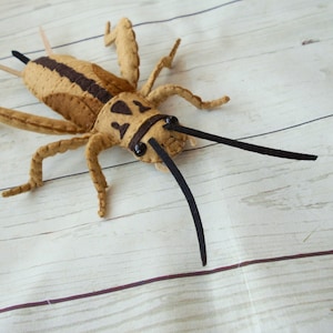 Realistic Hawaiian Cricket From Felt Laupala Cricket Figurine Felted ...