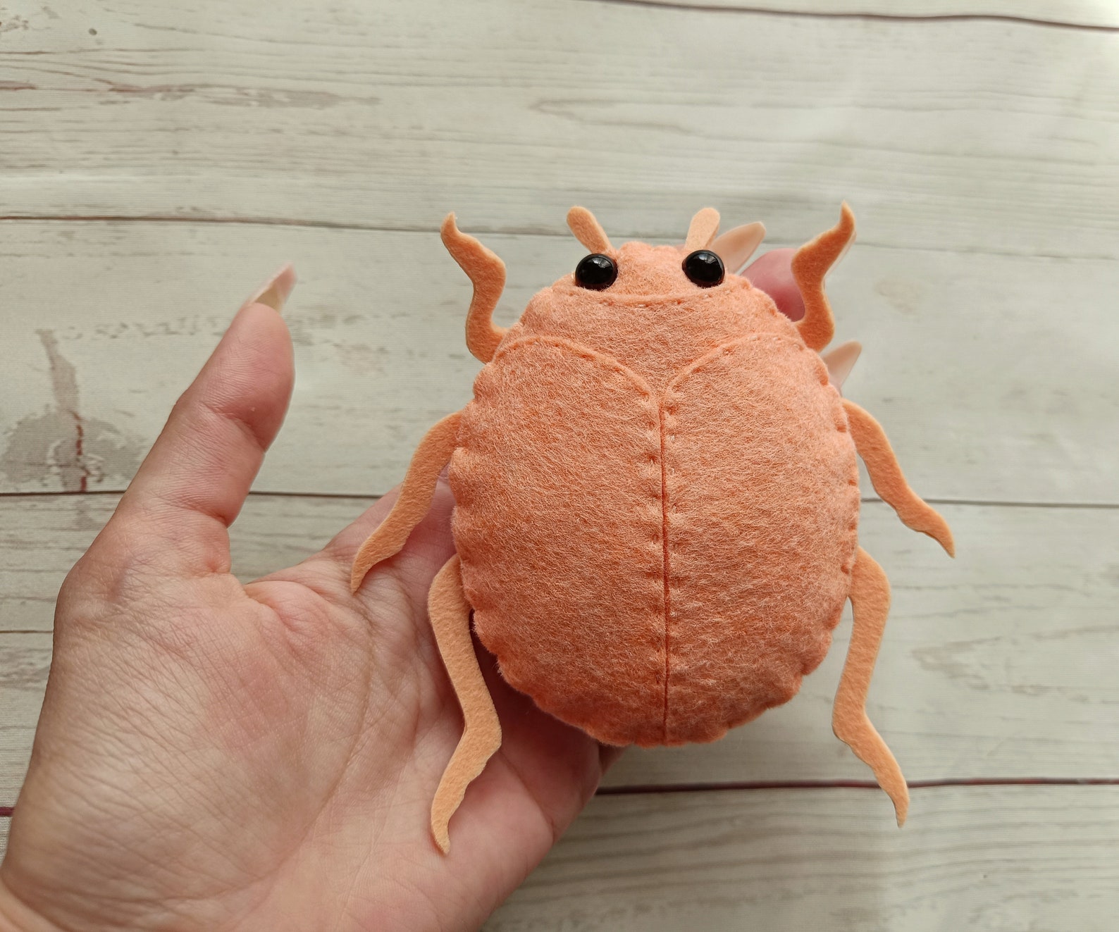 Realistic Peach Novius Ladybug From Felt Orange Lady Beetle Felt ...