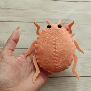 Realistic Peach Novius Ladybug From Felt Orange Lady Beetle Felt ...