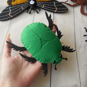 Bugs Collection From Felt, Realistic Beetle Toys, Learn Nature Felted ...