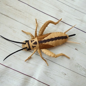 Realistic Hawaiian Cricket From Felt Laupala Cricket Figurine Felted ...
