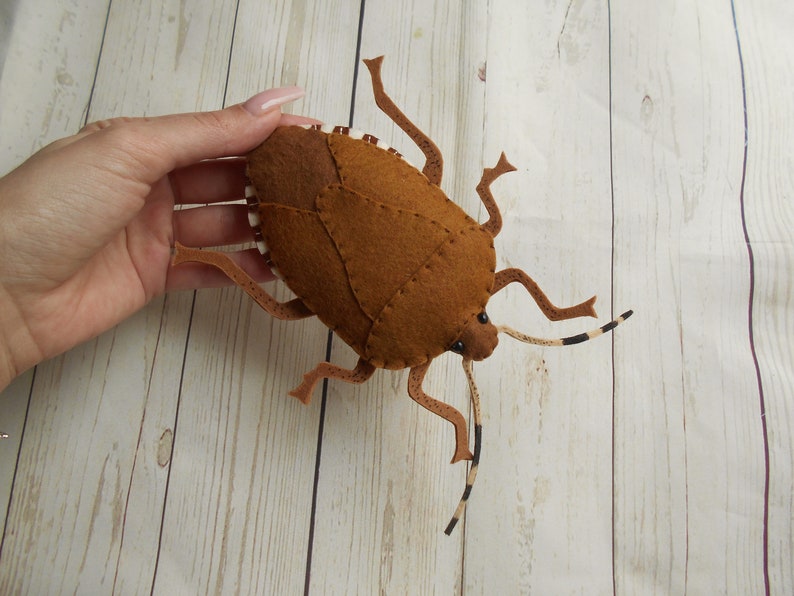 Felted Stinkbug Toy Realistic Beetle Felted Toy Young Naturalist Gift ...