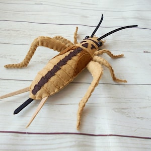 Realistic Hawaiian Cricket From Felt Laupala Cricket Figurine Felted ...