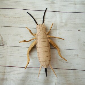 Realistic Hawaiian Cricket From Felt Laupala Cricket Figurine Felted ...