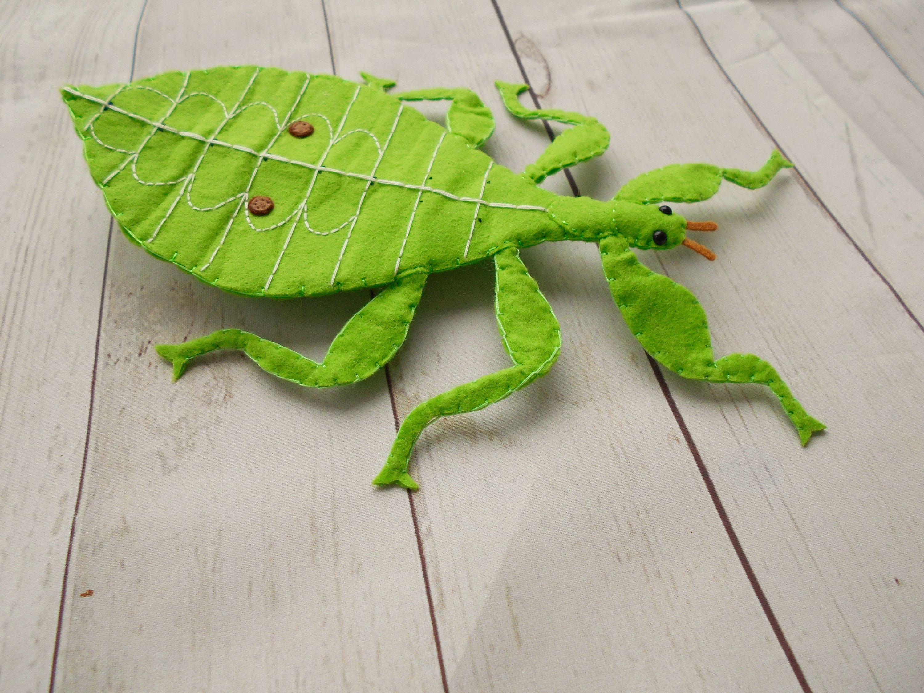 Felted Phylliidae - Leaf Bug Realistic Figure, Felt Phylliidae Figure ...