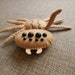 PDF Spider Pattern PDF Felt Pattern PDF Sewing Pattern for - Etsy