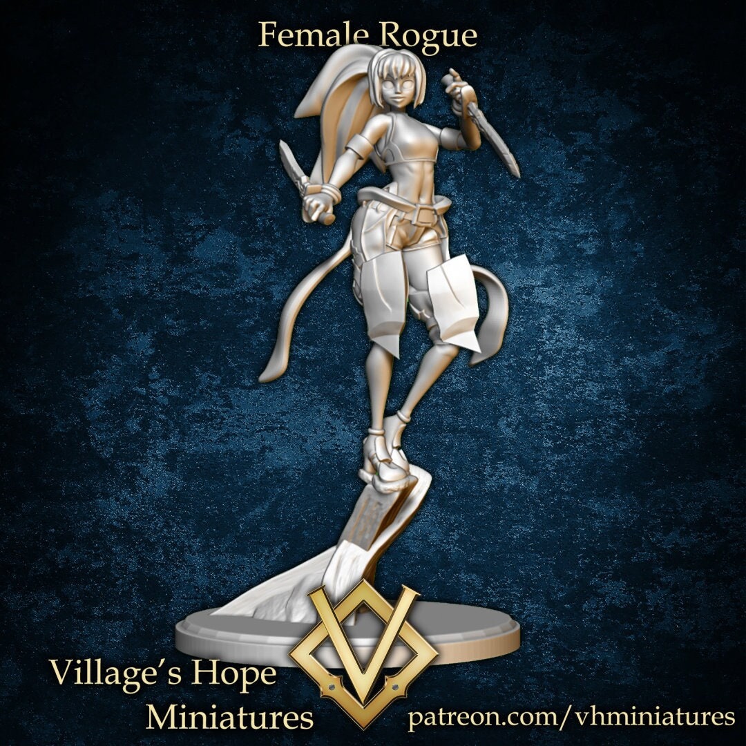 Female Rogue 28mm Dnd Miniature - Village's Hope Miniatures - Etsy
