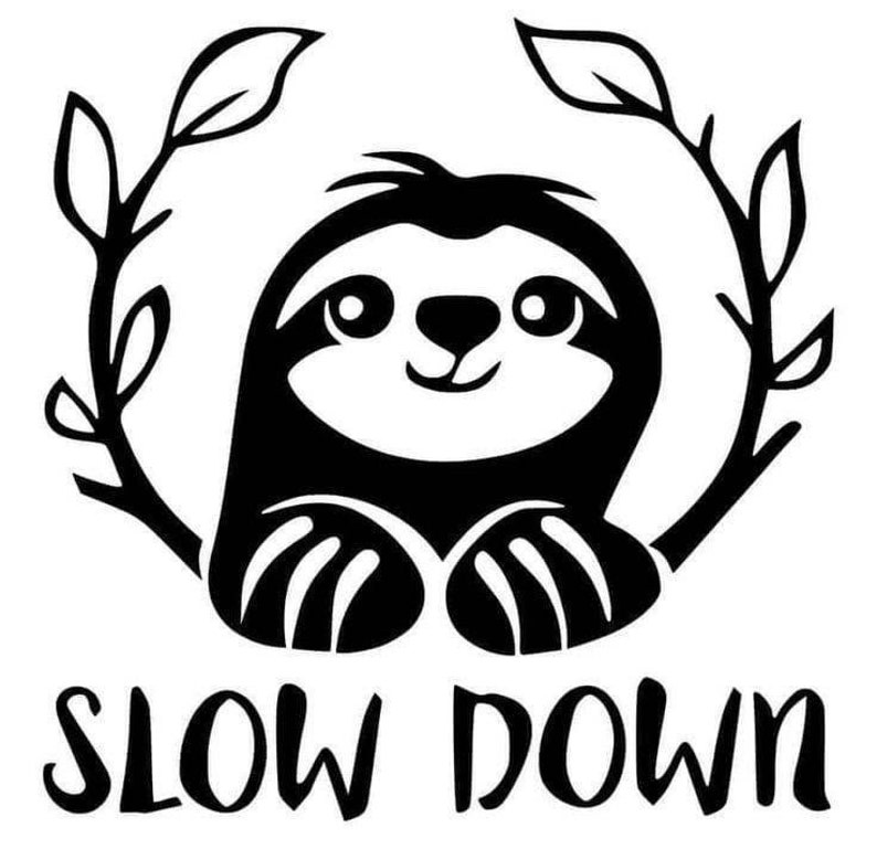 Cute Sloth Slow Down - Etsy