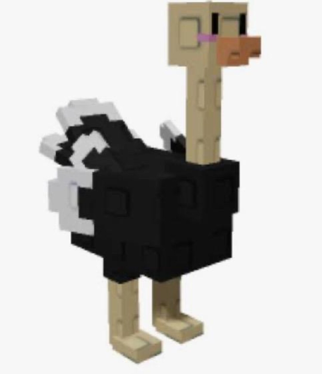 Ostrich Grow a Garden Roblox Pet - Etsy