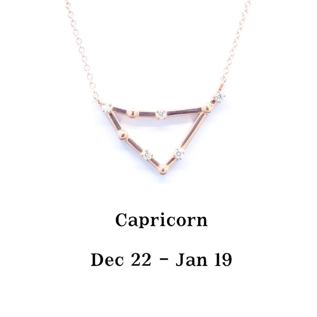 CAPRICORN / Zodiac Sign Necklace / Diamond Necklace / 14k Gold Necklace ...