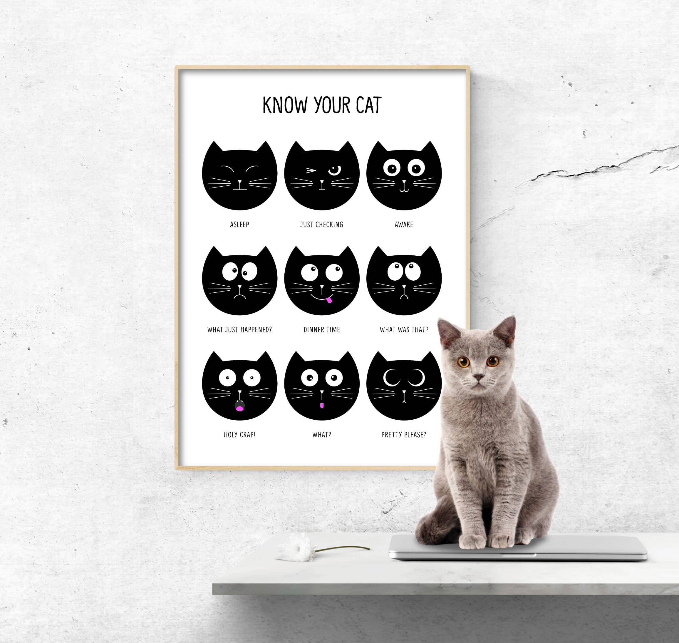 Cat Wall Art Cat Poster Cat Expression Prints Cat Lover - Etsy UK