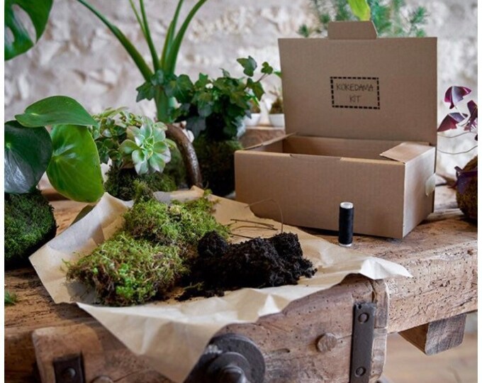 KOKEDAMA KIT - Etsy