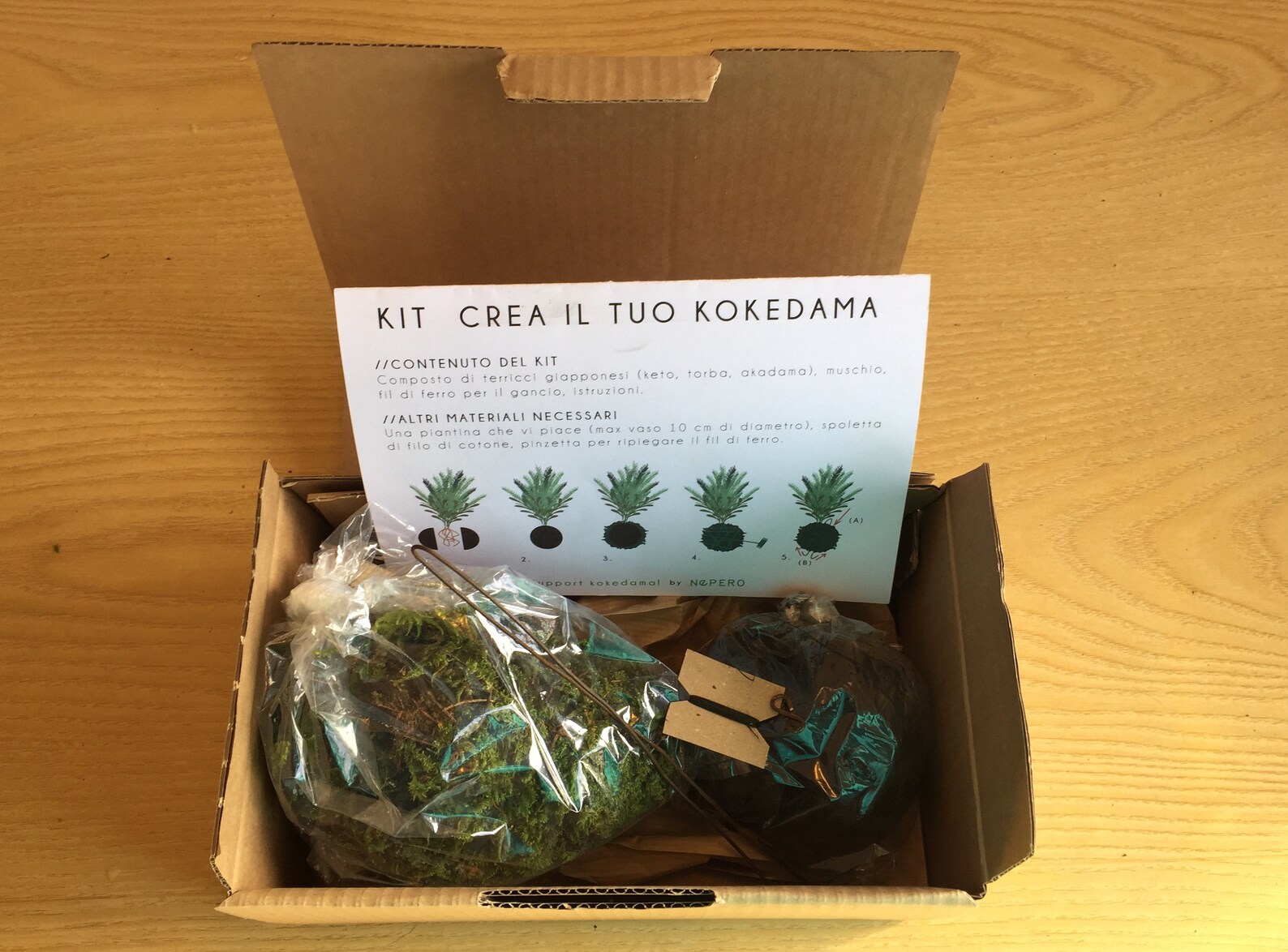 KOKEDAMA KIT - Etsy
