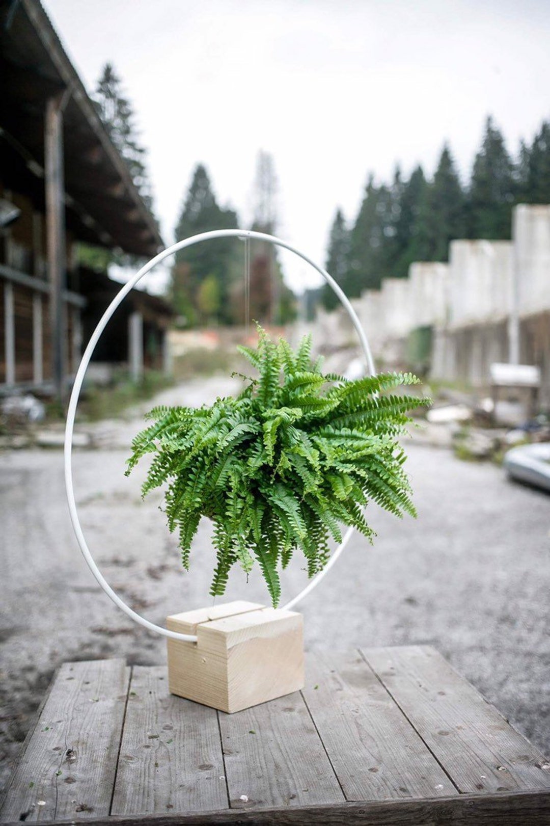 Kokedama Structure. counterweight the Kokedama Hanger 40 Cm - Etsy