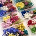 Box of Dried Flowers Mix for Resin, Candle, Postcard.... - Etsy