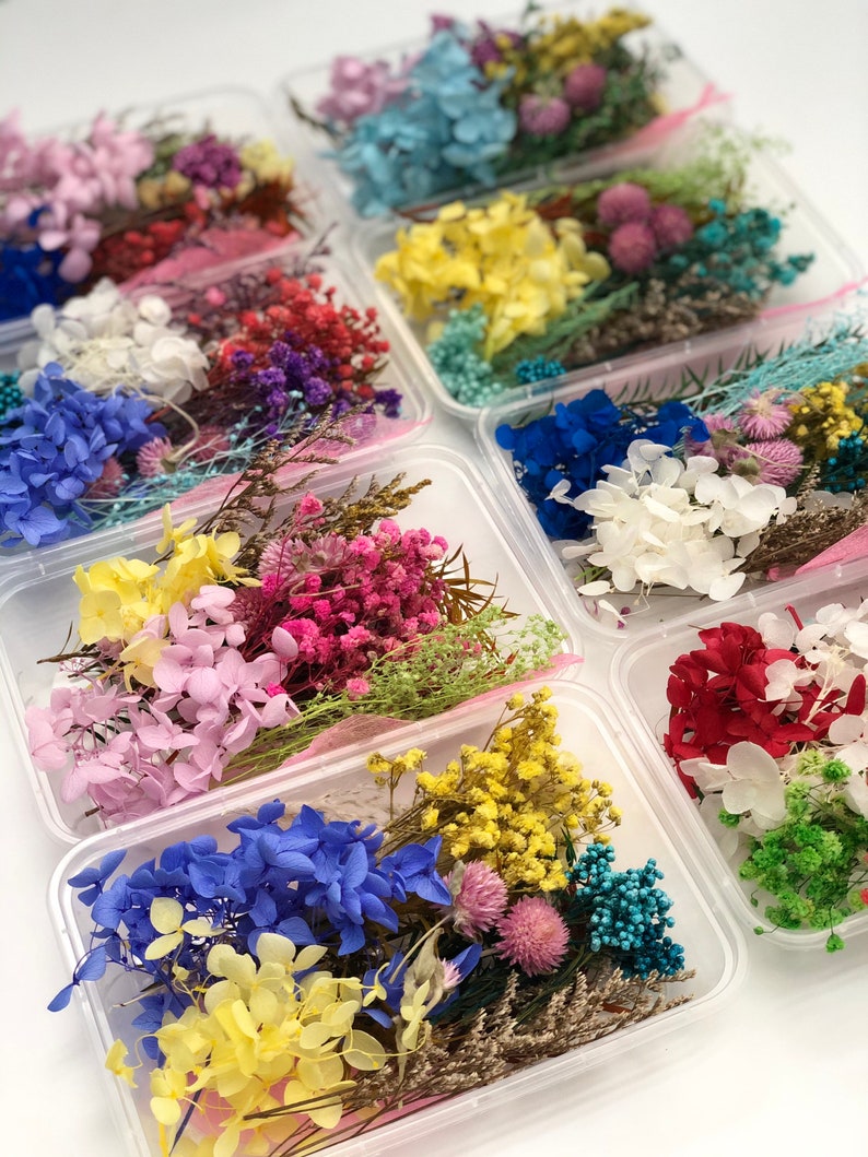 Box of Dried Flowers Mix for Resin, Candle, Postcard.... - Etsy
