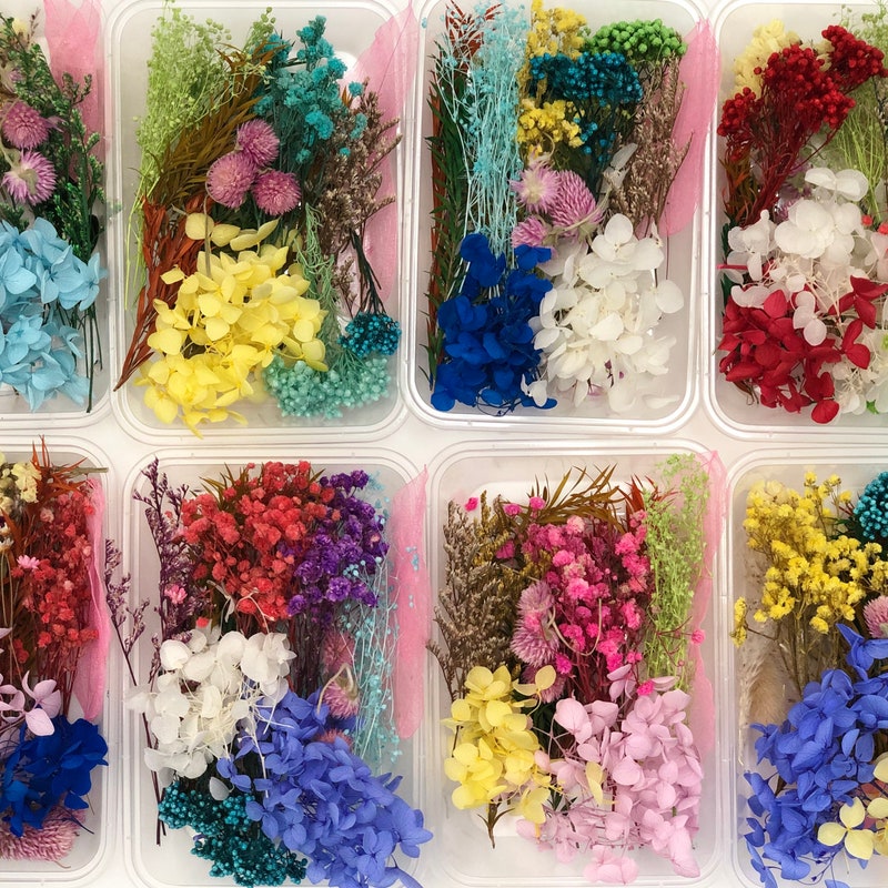 Dried Flower Postcards - Etsy