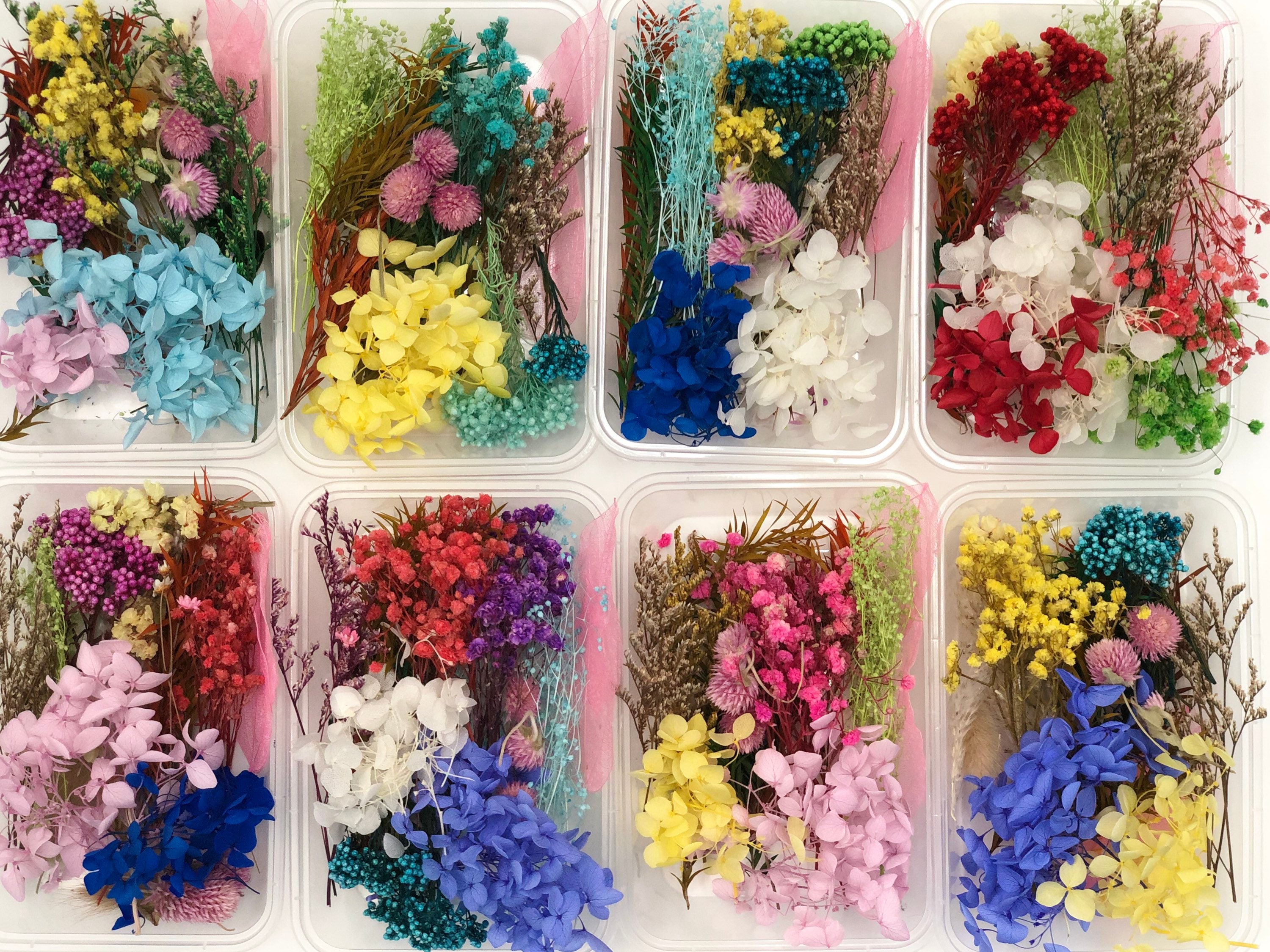Box of Dried Flowers Mix for Resin Candle Postcard.... - Etsy