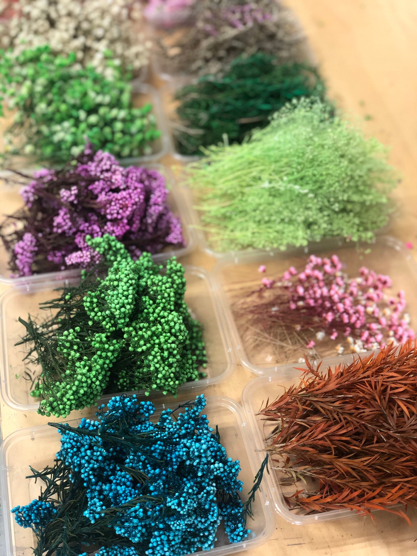 Box of Dried Flowers Mix for Resin Candle Postcard.... - Etsy