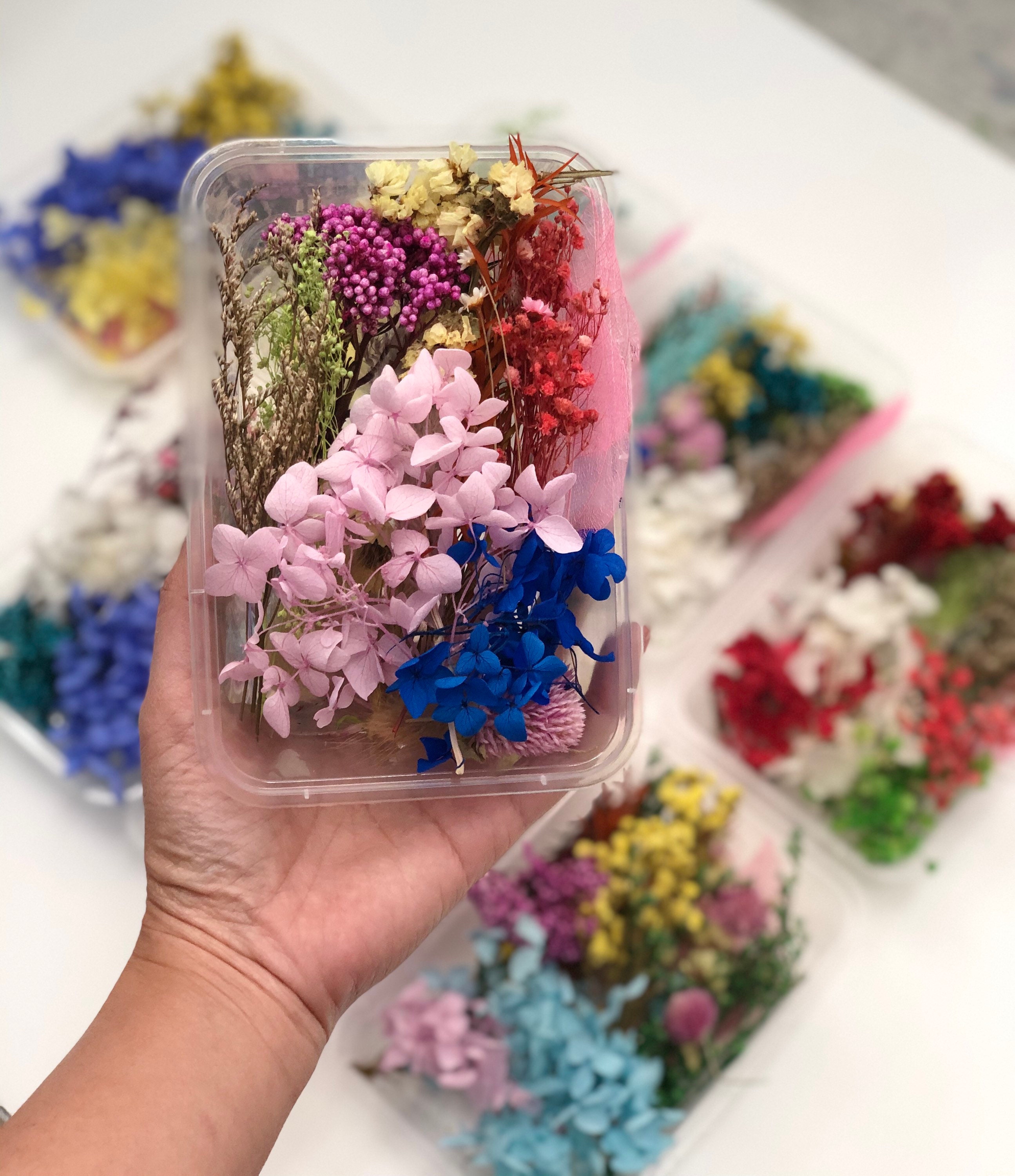 Box of Dried Flowers Mix for Resin, Candle, Postcard.... - Etsy