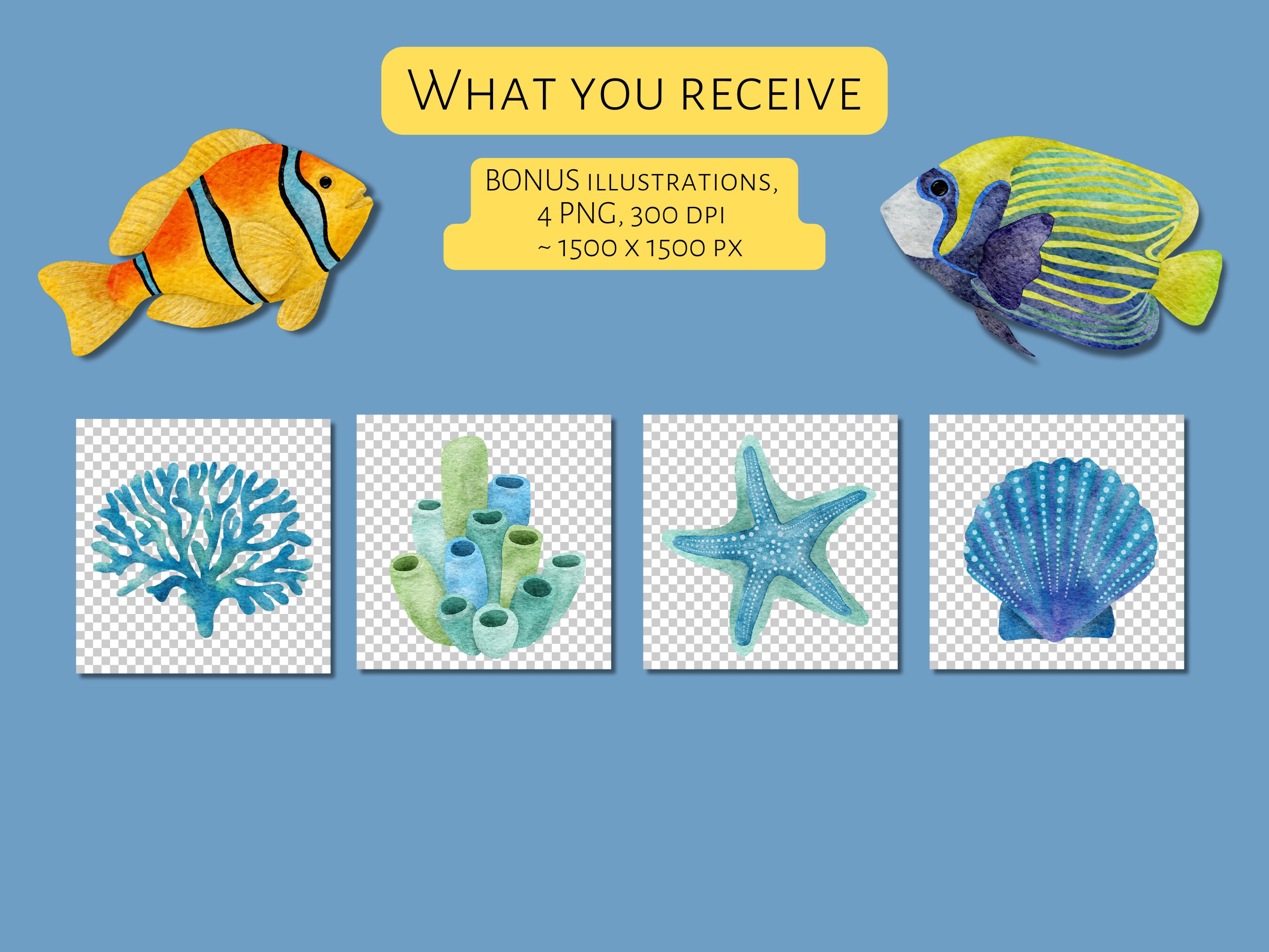 Watercolor Tropical Fish Clipart Illustration, Exotic Fishes PNG Bundle ...