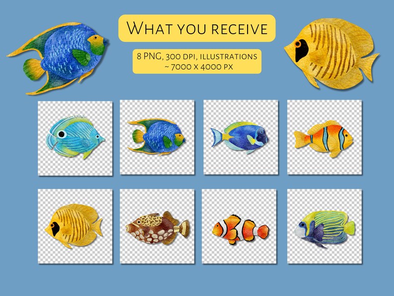 Watercolor Tropical Fish Clipart Illustration, Exotic Fishes PNG Bundle ...