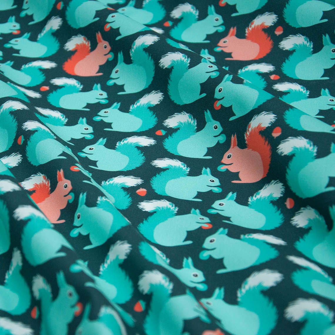 Squirrels Fabric - Etsy