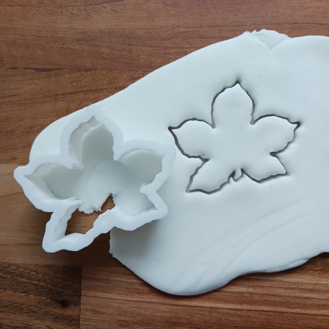 Horse Chestnut Leaf Cutter Biscuit Pastry Fondant Stencil Plant Seed ...
