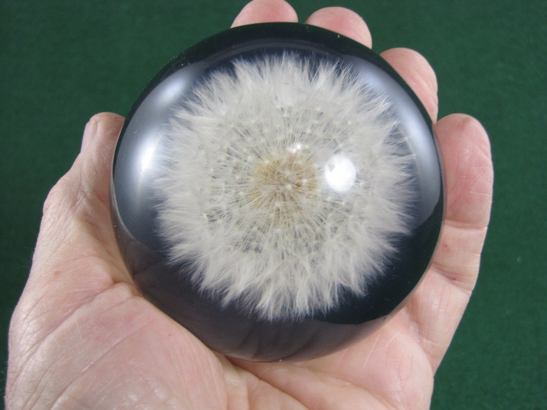 Dandelion Paperweight Handcrafted in Canada // 1970's // Tarax Infinity ...