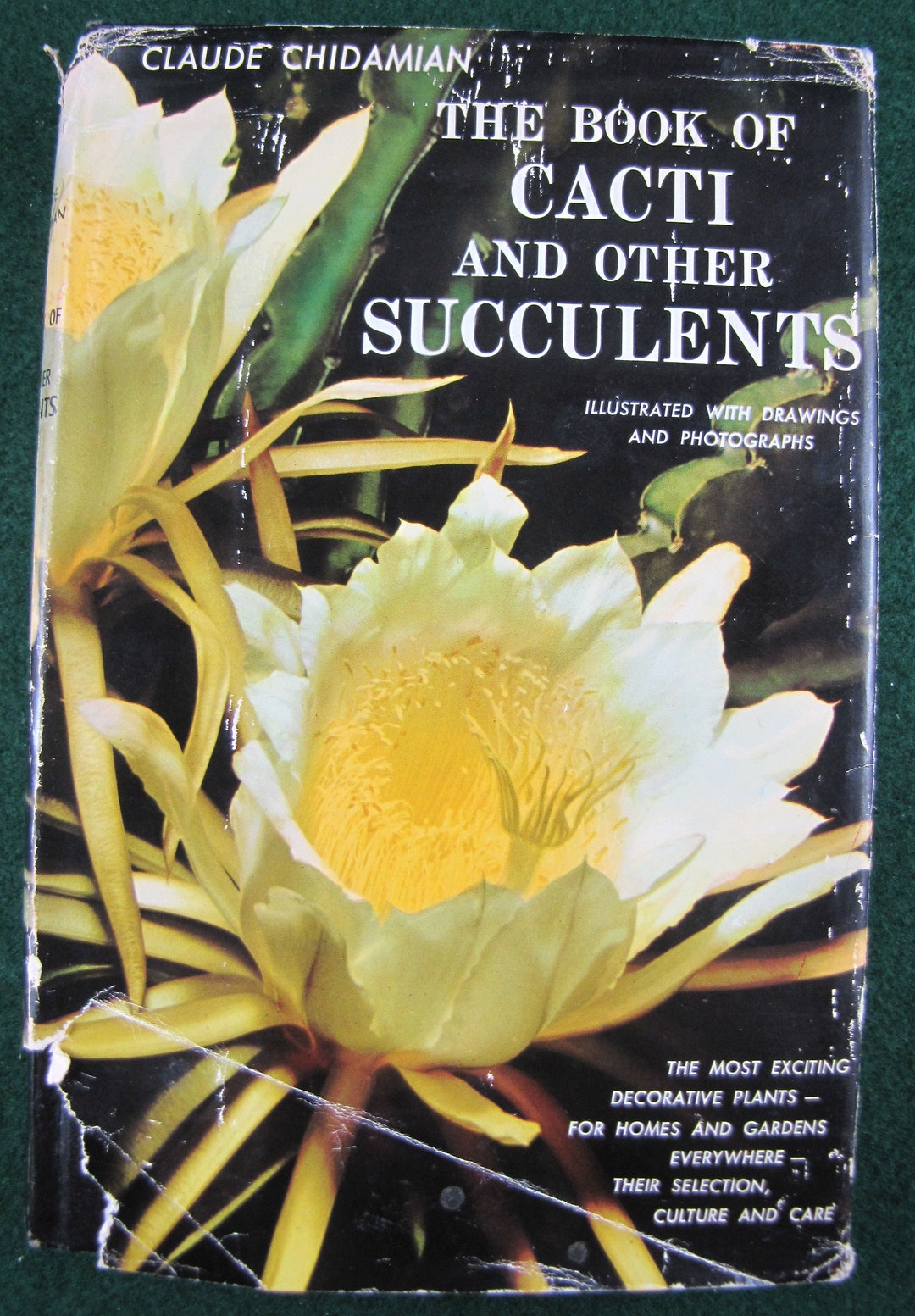 The Book of Cacti and Other Succulents // 1958 Hardback W Jacket ...