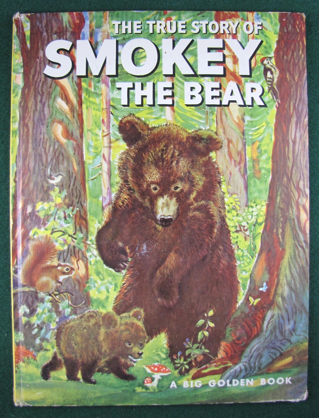 The True Story of Smokey the Bear // 1969 Hardback // Big Golden Book ...