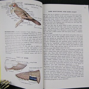 Birds of North America // 1966 Softback // Identification // Golden ...