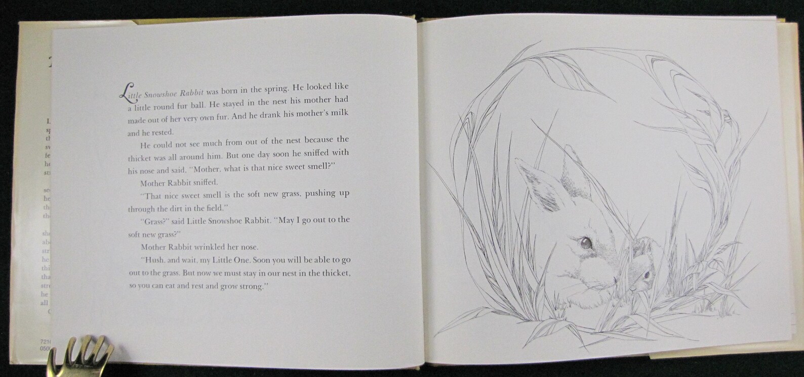 The Rabbit's World, 1972 1st Edition, Children's Picture Book - Etsy