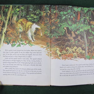 Lassie Fnds a Way // GREAT CONDITION 1957 Hardback // Picture Book ...