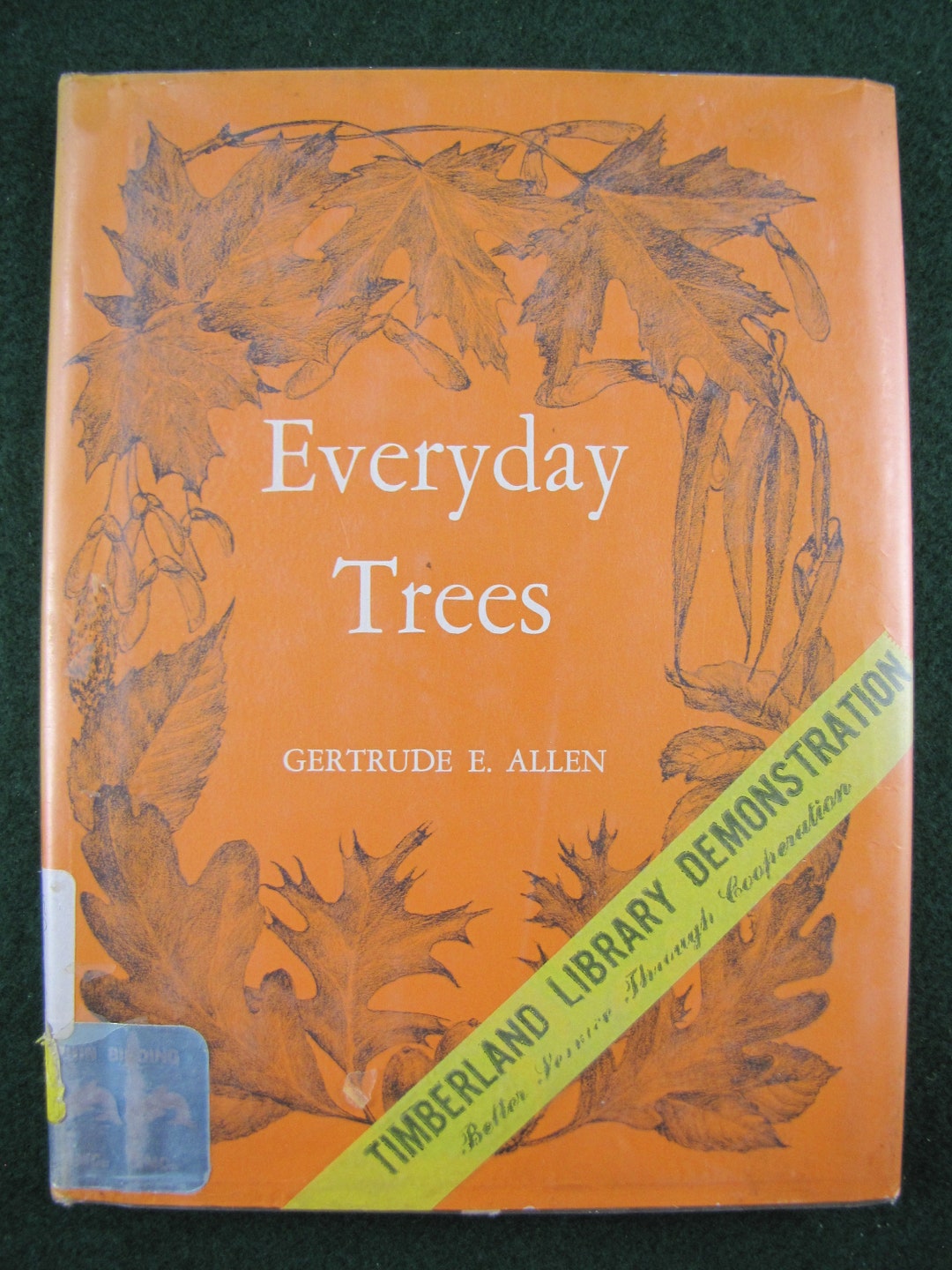 Everyday Trees // SCARCE TITLE 1968 Hardback W Jacket/cover // Gertrude ...