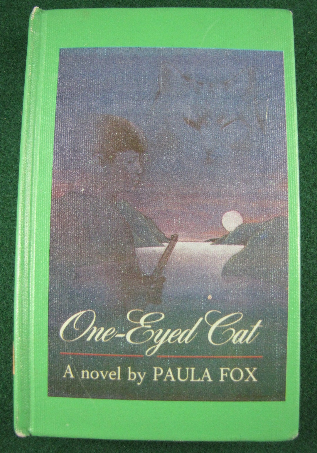 One-eyed Cat // 1984 Hardback // Young Reader Chapter Book // Newbery ...