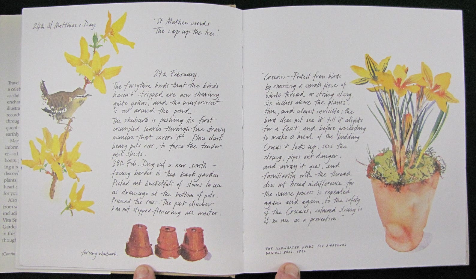 The Painted Garden // 2000 Hardback Book W Jacket // A Year in Words ...