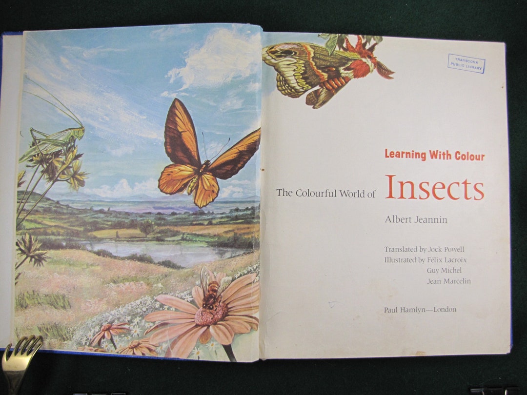 The Colourful World of Insects // 1964 Hardback // Scarce Copy in US ...