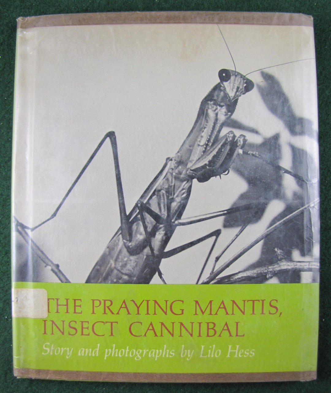 The Praying Mantis, Insect Cannibal // 1972 Hardback W Jacket/cover ...