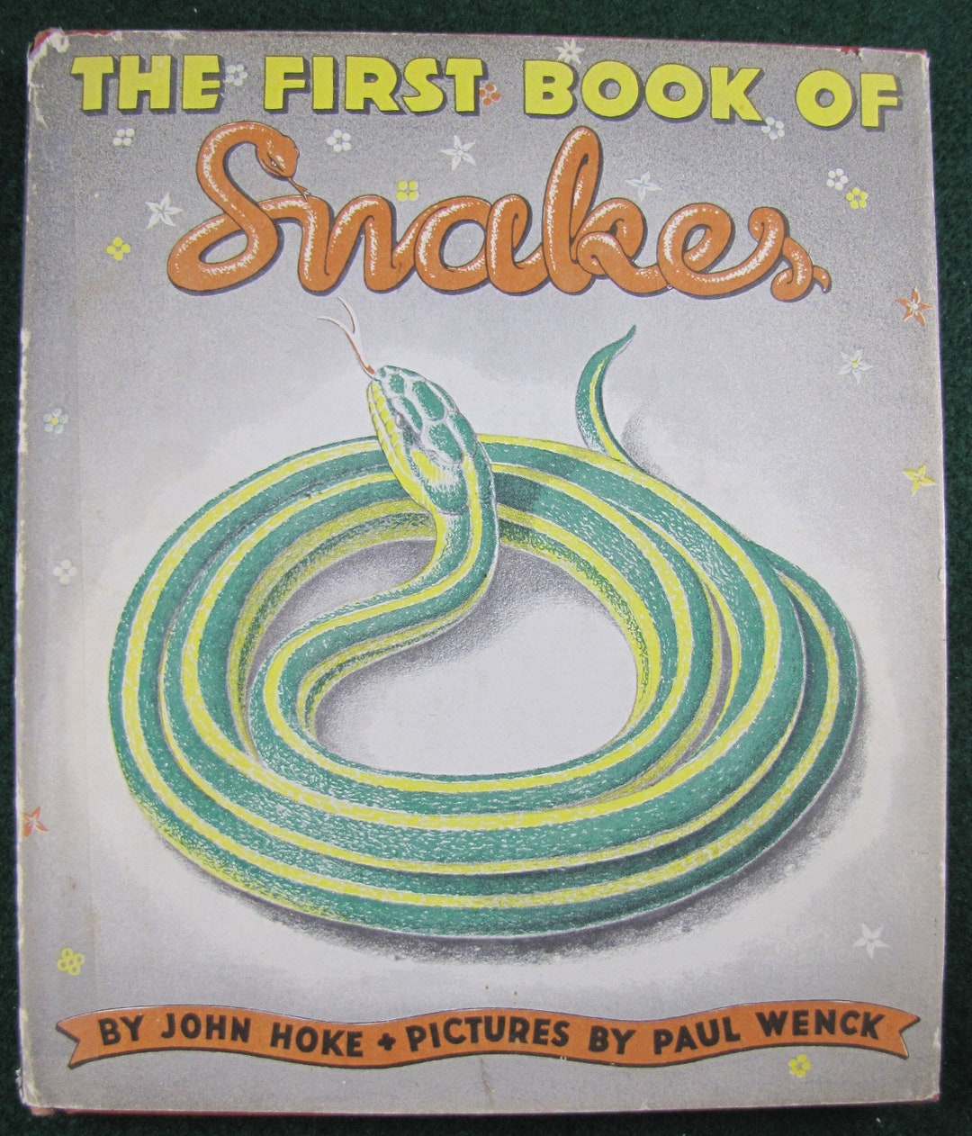 The First Book of Snakes // 1956 Hardback W Jacket // Children's ...