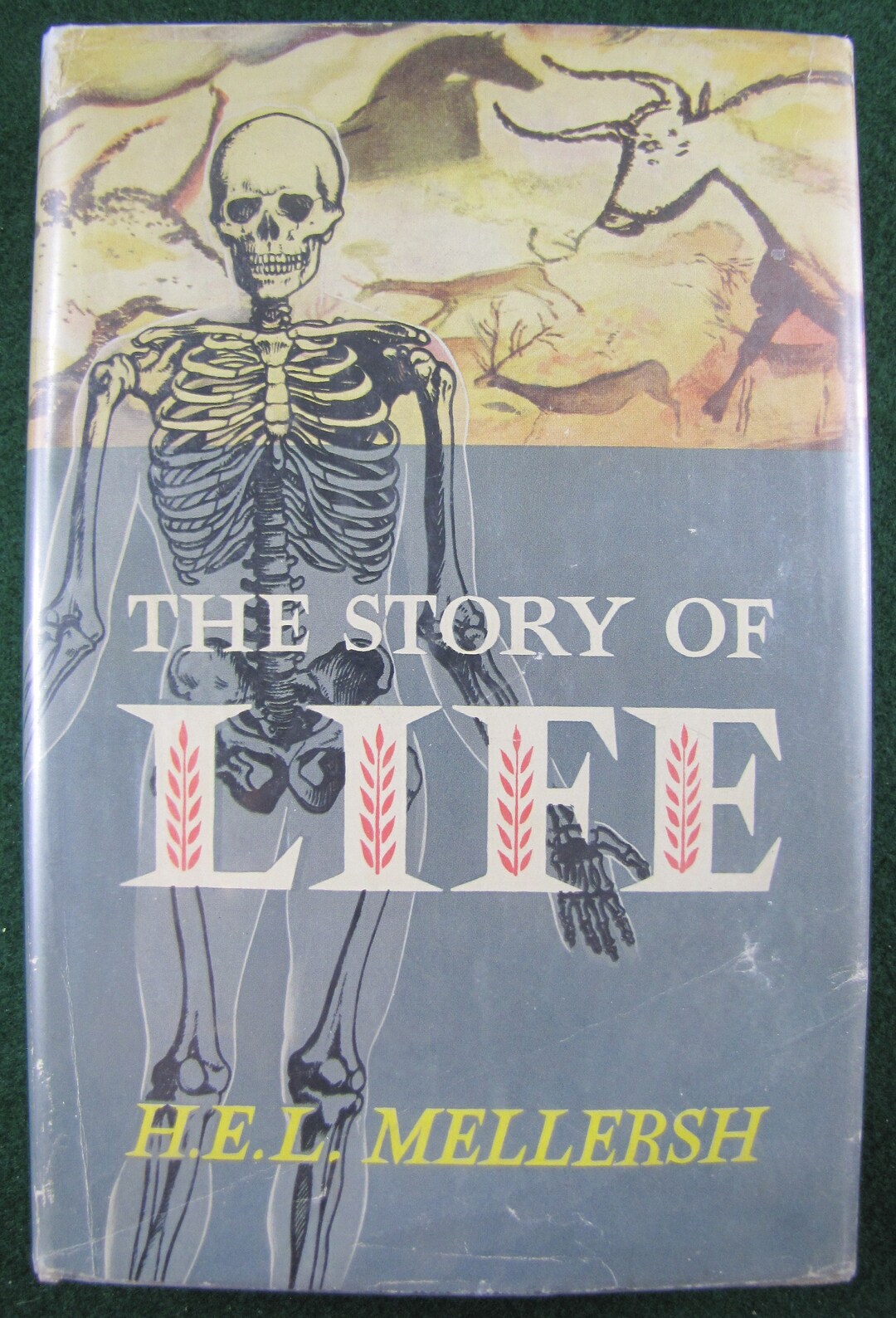 The Story of Life // 1958 Hardback W Jacket/cover 1st Am Ed // M E L ...