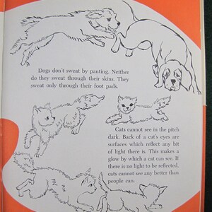 The First Book of Surprising Facts //1956 Hardback W RARE Jacket ...