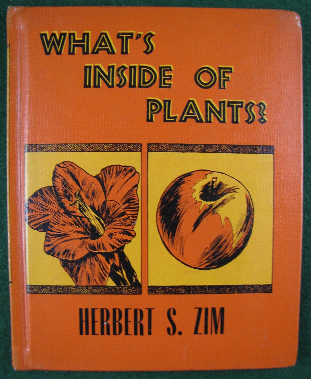 What's Inside of Plants? // 1952 Hardback // Herbert S. Zim // Children ...