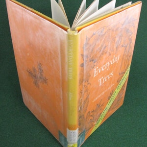 Everyday Trees // SCARCE TITLE 1968 Hardback W Jacket/cover // Gertrude ...